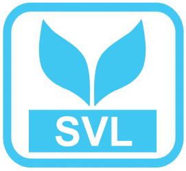 หน้าหลัก – บริษัท เอสวีแอล คอร์ปอเรชั่น จำกัด